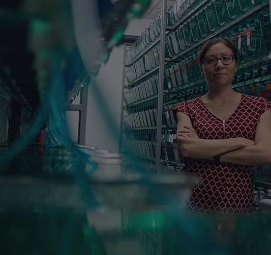 People | Data Science Initiative | Rice University